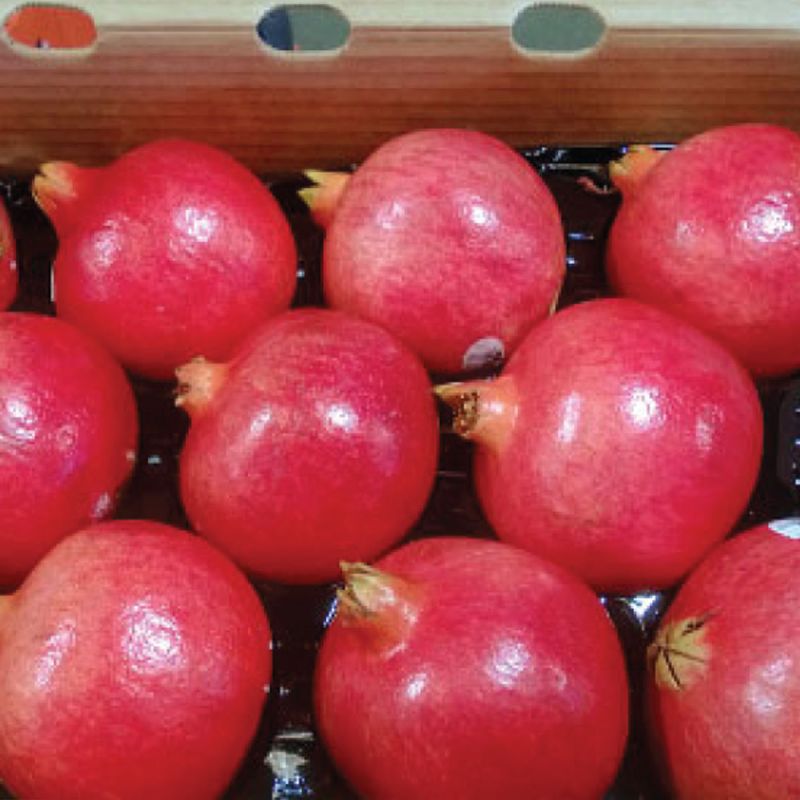 Anar Fruit 1 Pack
