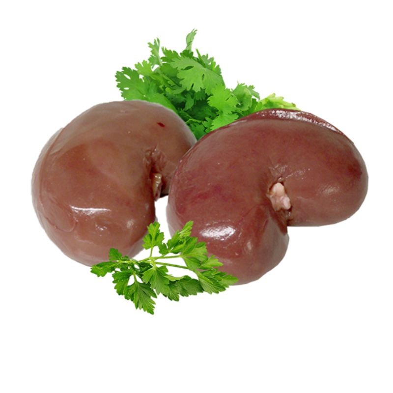 Beef Kidney