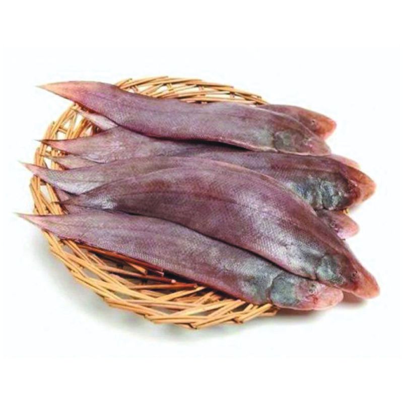 Moosa Small Fresh Fish 1kg